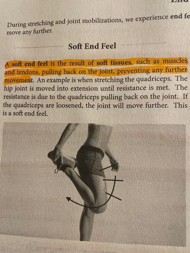 Massage Therapy Flashcards Quizlet