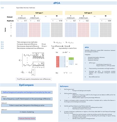 schematic overview and stepwise algorithm of a dpca an algorithm