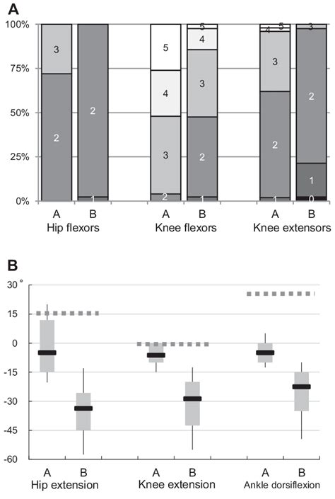 MMT Grade And ROM At Age Years In Two Patient Groups Group A Download Scientific Diagram