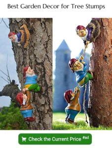 20 Tree Stump Ideas Transforming Your Yard Artfully