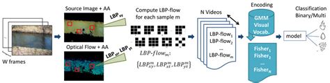 Block Diagram Of The Texture Recognition Framework Activity Areasaas Download Scientific