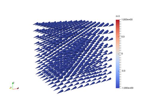 Experiment Of Section 61 Snapshots Of The Magnetization Download