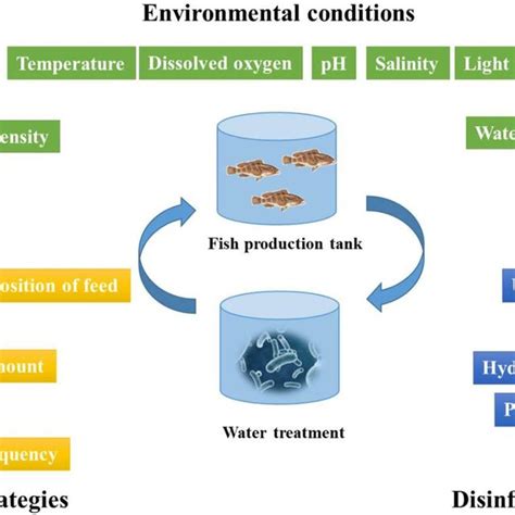 Recirculating System For The Usda Ars Warmwater Aquaculture Research Download Scientific