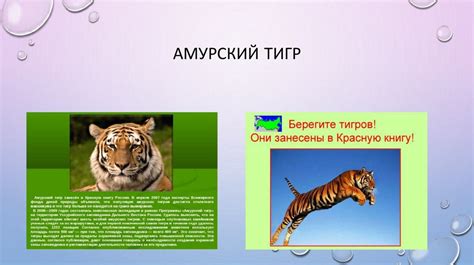 Животные Красной книги презентация онлайн