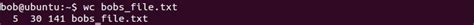 Count Lines In A File Linux