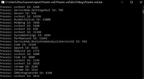 start a process in c delft stack