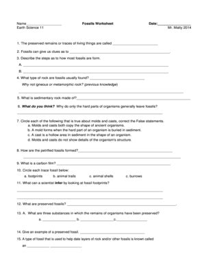 Fillable Online Day Fossils Worksheet Fax Email Print PdfFiller