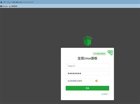 用香橙派aipro部署大模型、安装宝塔搭建私有随身web开发环境 error listen tcp 127 0 0 1 11434
