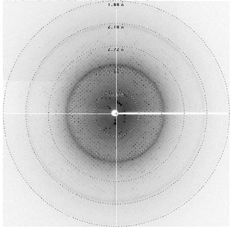 X Ray Diffraction Pattern Of A Membrane Protein Crystal The Highest Download Scientific