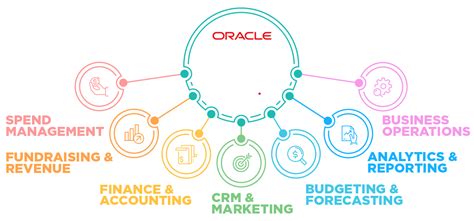 Netsuite For Nonprofit Organizations And Ngos Gurus Solutions