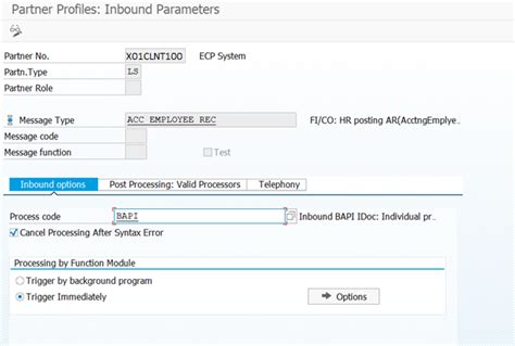 Setting Up Payroll Processing With Sap Successfact Sap Community