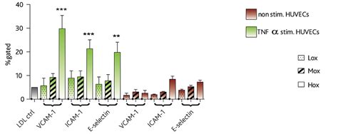 Cardiovascular Atherosclerosis Monocyte Adhesion Chemokines Oxidised LDL