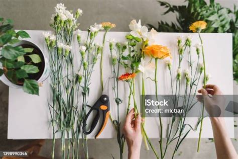 플로리스트 작업 공간 하얀 나무 테이블에 꽃 장식 꽃 및 녹지를 만드는 젊은 예쁜 백인 여성 가지치기에 대한 스톡 사진 및 기타 이미지 Istock