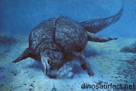 Psephoderma Prehistoric Animals Prehistoric Creatures Prehistoric