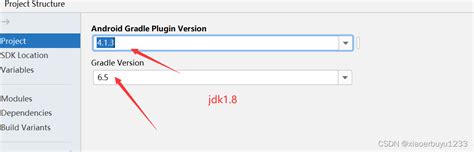 Javalangassertionerror Annotationtype Unrecognized 属性名称 Module 563 Csdn博客