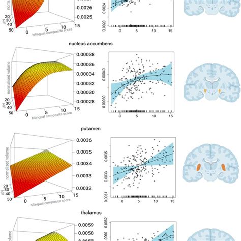 Effects Of Bilingual Composite Scores On The Grey Matter Volumes Of The Download Scientific