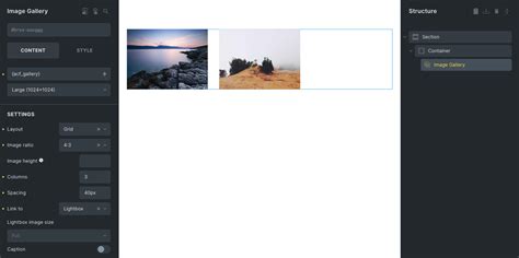 Solved Bricks Image Gallery And Acf Gallery Bugs Bricks Community