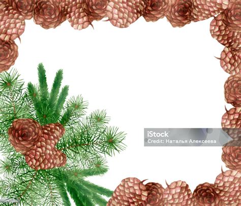 수채화 손 은 초대장과 엽서 텍스트 에 대한 공간과 흰색 배경모서리에 갈색 원록과 녹색 크리스마스 트리 전나무 분기와 자연 테두리 제곱 프레임을 그린 0명에 대한 스톡 벡터