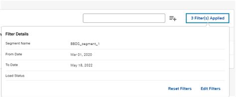 segment execution report