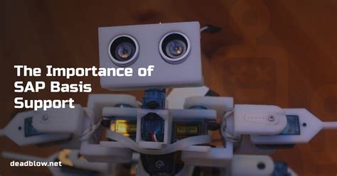 The Importance Of SAP Basis Support