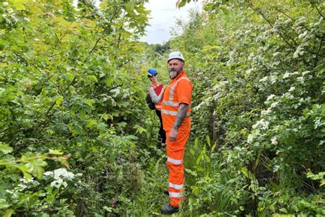 The Tree Council Working Together For The Love Of Trees