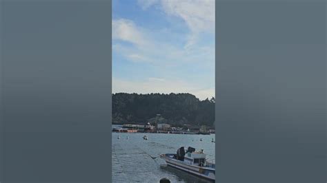 반공 나는 공산당 이 싫어요 Youtube