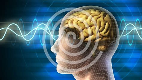 Анхаарал төвлөрүүлэх чадварыг сайжруулдаг программ бүтээжээ Mongolia