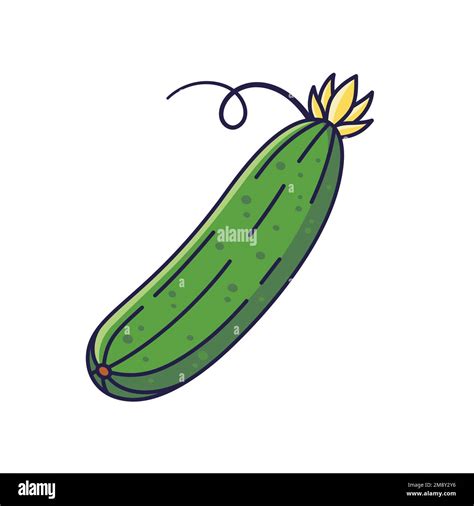Cute Cucumber Cartoon Icon Illustration Food Vegetable Flat Icon Concept Isolated On White