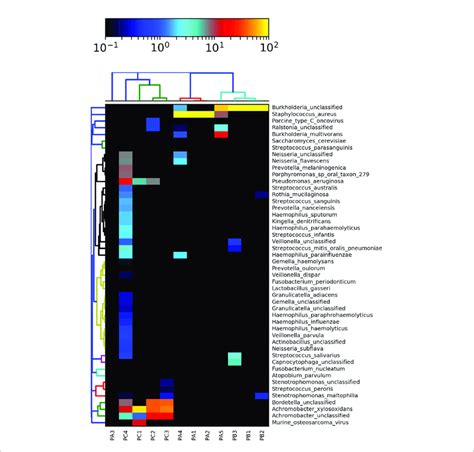 species level taxonomic assignment of fungi bacteria and viruses in