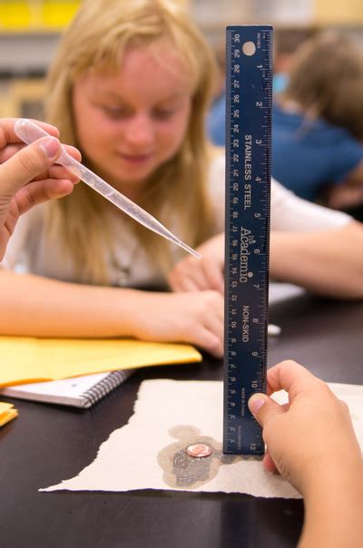 Collecting Data And Graphing Basics Vista Heights 8th Grade Science