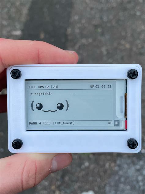 Pwnagotchi Case 3d Model By Thenoppit On Thangs