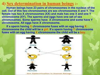 HEREDITY AND EVOLUTION Pptx