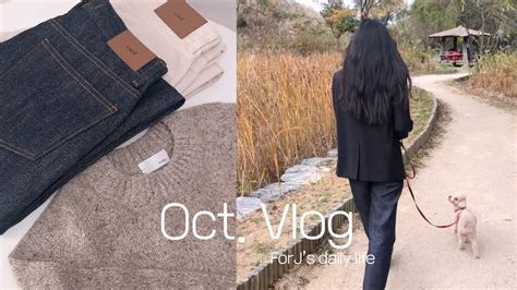 VLOG 직장인 브이로그 사무직 년차 출근해서 일하고 퇴근하다보니 어느덧 주말 데일리룩 즐거운 언박싱 블루브릭 중소기업 경리 과장 쉬즈홈 삼각등쿠션