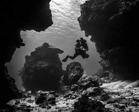 У берегов Австралии нашли корабль с сокровищами Русская семерка