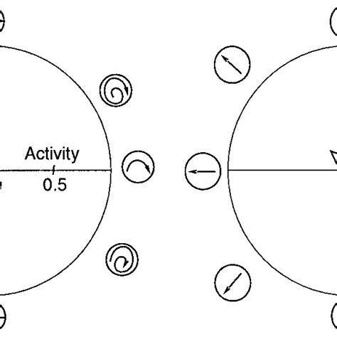 The Response Selectivity Of An Individual Model Mst Unit To Various