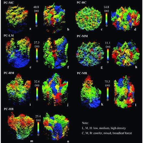 The Flowchart Of Tree Species Classification And Biomass Model Download Scientific Diagram