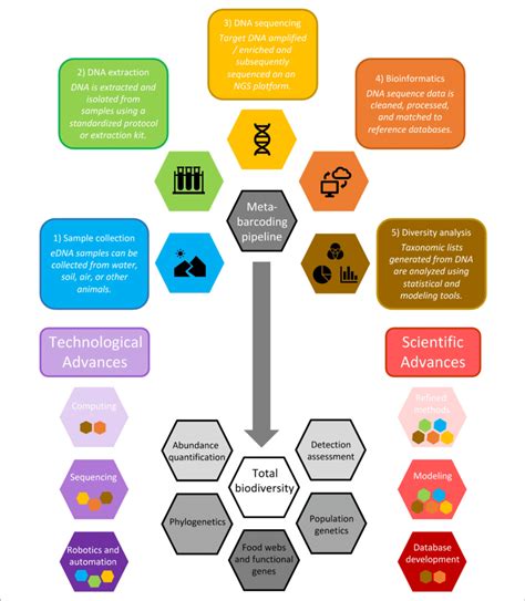 Conceptual Model Outlining The Dna Metabarcoding Pipeline Including