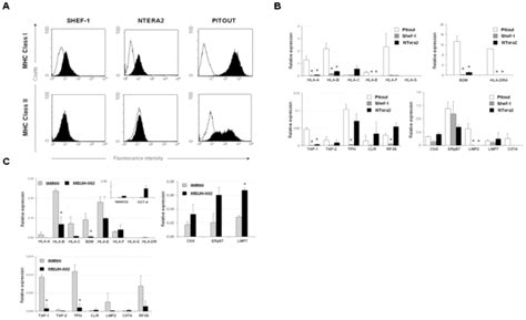 A The Expression Of HLA Class I And Class II Was Determined By Flow Download Scientific