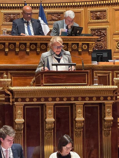Au Sénat 🇫🇷 Ma Lettre Ouverte Face à La Situation Politique