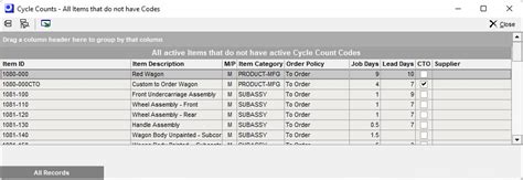 Cycle Count Codes List Tab