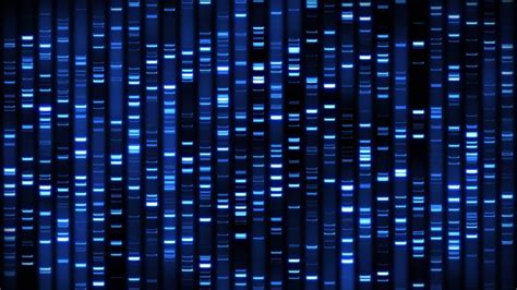 Genetics Wallpapers Top Free Genetics Backgrounds Wallpaperaccess