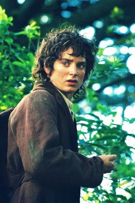 1000 Images About I Love Frodo On Pinterest Lotr Wimpy And Eyes
