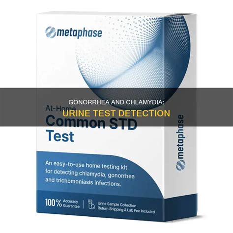 Gonorrhea And Chlamydia Urine Test Detection Medshun