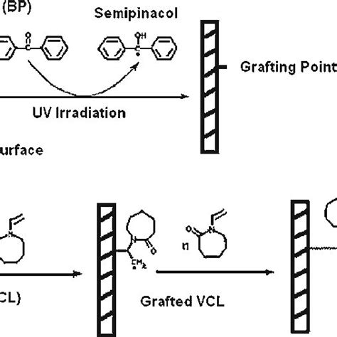 The Effect Of Uv Light On Benzophenone Download Scientific Diagram