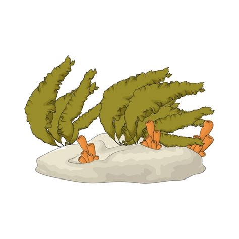 Page 2 Sand Algae Interaction Vectors And Illustrations For Free Download
