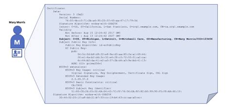 区块链开源实现hyperledger Fabric架构详解 个人笔记
