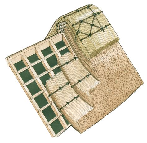 Thatching Process By Stephen Conlin Buy Fine Art Print