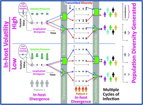 Spread Of Hiv 1 Env Features From Patient To Population Evolution Of