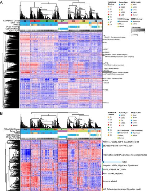 Pathways Based Clusters A Consensus Clustered Heat Map Based On