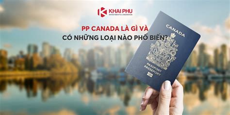 Pp Canada Là Gì Và Có Những Loại Nào Phổ Biến